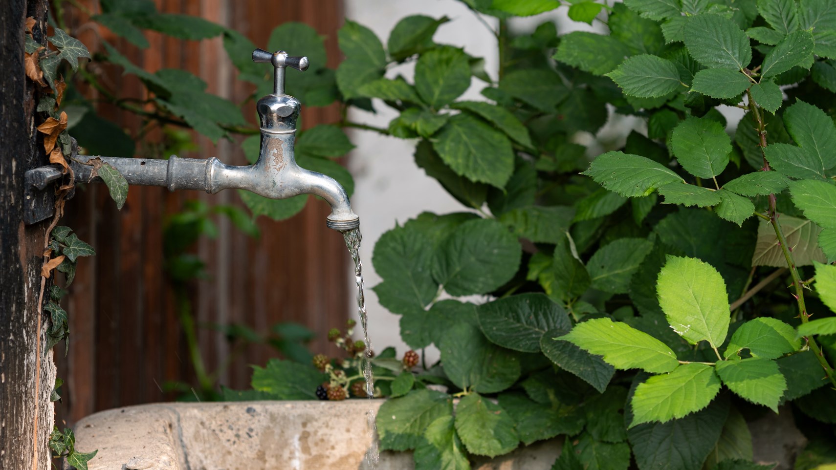 Buying property with a private water supply