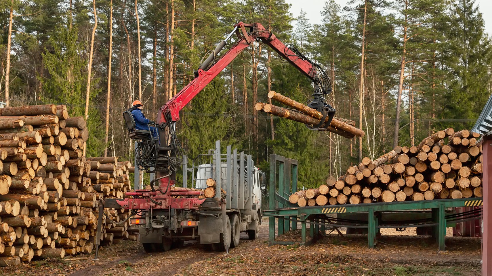 Health and safety incidents on rural estates: a practical checklist